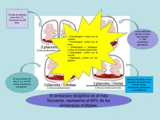 Embarazo Multiple | PPT