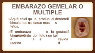 OBSTETRICIA: Embarazo Gemelar | PPTX