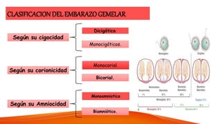 embarazo gemelar.pptx
