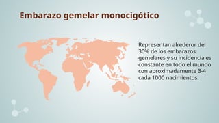 Embarazo Gemelar Embriología, desarrollo | PPTX