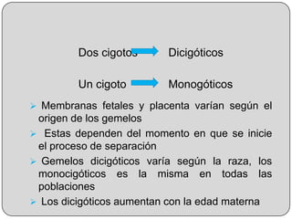 Embarazo múltipless | PPTX