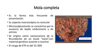 Embarazo molar.pptx