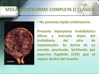 Embarazo molar y aborto | PPTX