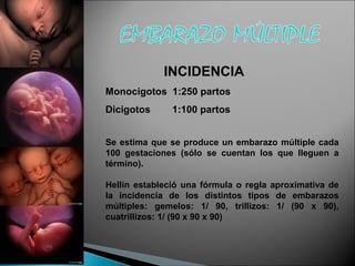 Embarazo multiple | PPT
