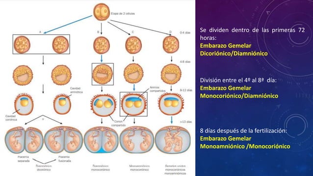 EMBARAZO MULTIPLE O DE ALTO ORDEN FETAL.pptx