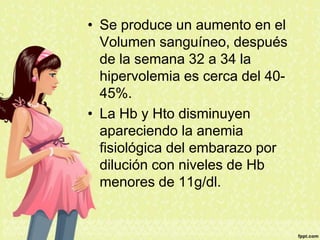 Embarazo normal | PPT