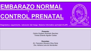 'EMBARAZO NORMAL Y CONTROL PRENATAL SV. pdf | PDF