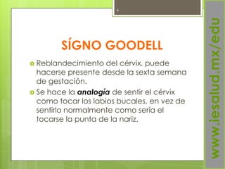 Embarazo signos y desarrollo | PPTX