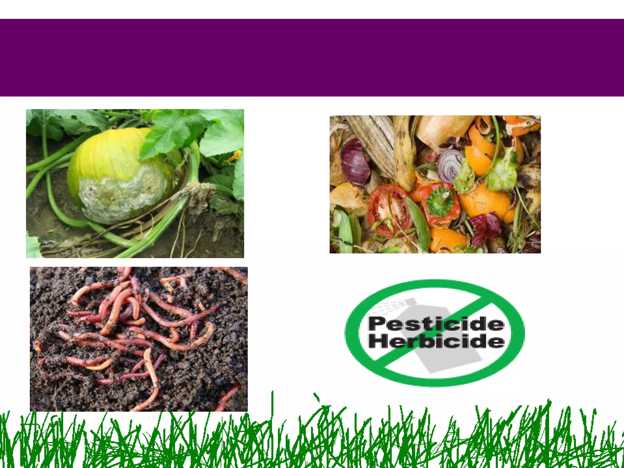 Em based quick composting techniques | PPTX