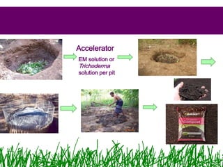 Em based quick composting techniques | PPTX | Gardening | Home & Garden