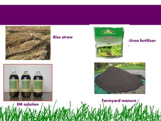 Em based quick composting techniques | PPTX | Gardening | Home & Garden