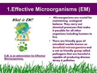 Em based quick composting techniques | PPTX | Gardening | Home & Garden