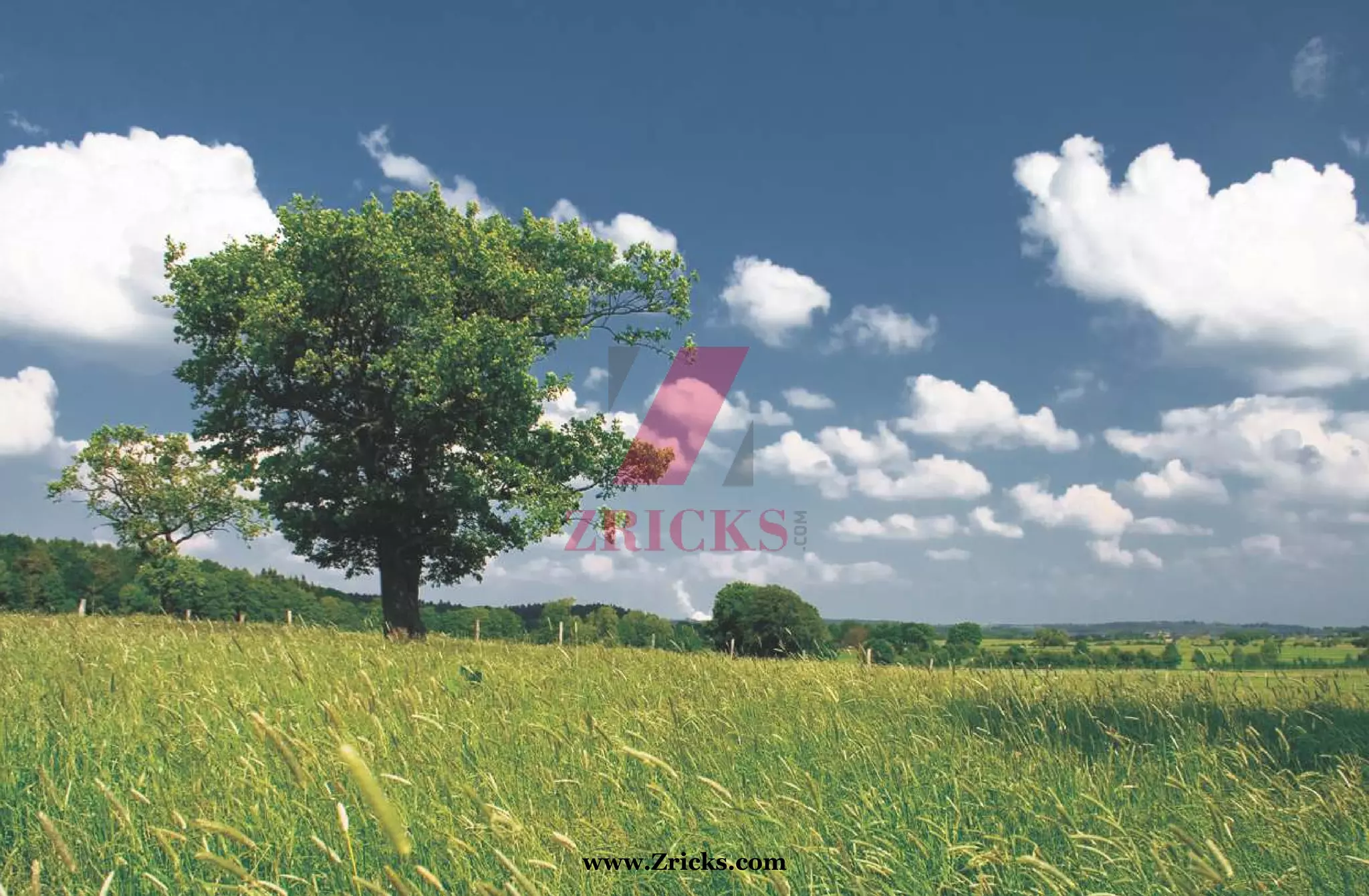 Embassy Pristine Brochure | PDF