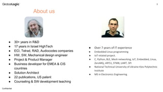 Dov Nimratz, Roman Chobik "Embedded artificial intelligence" | PPT