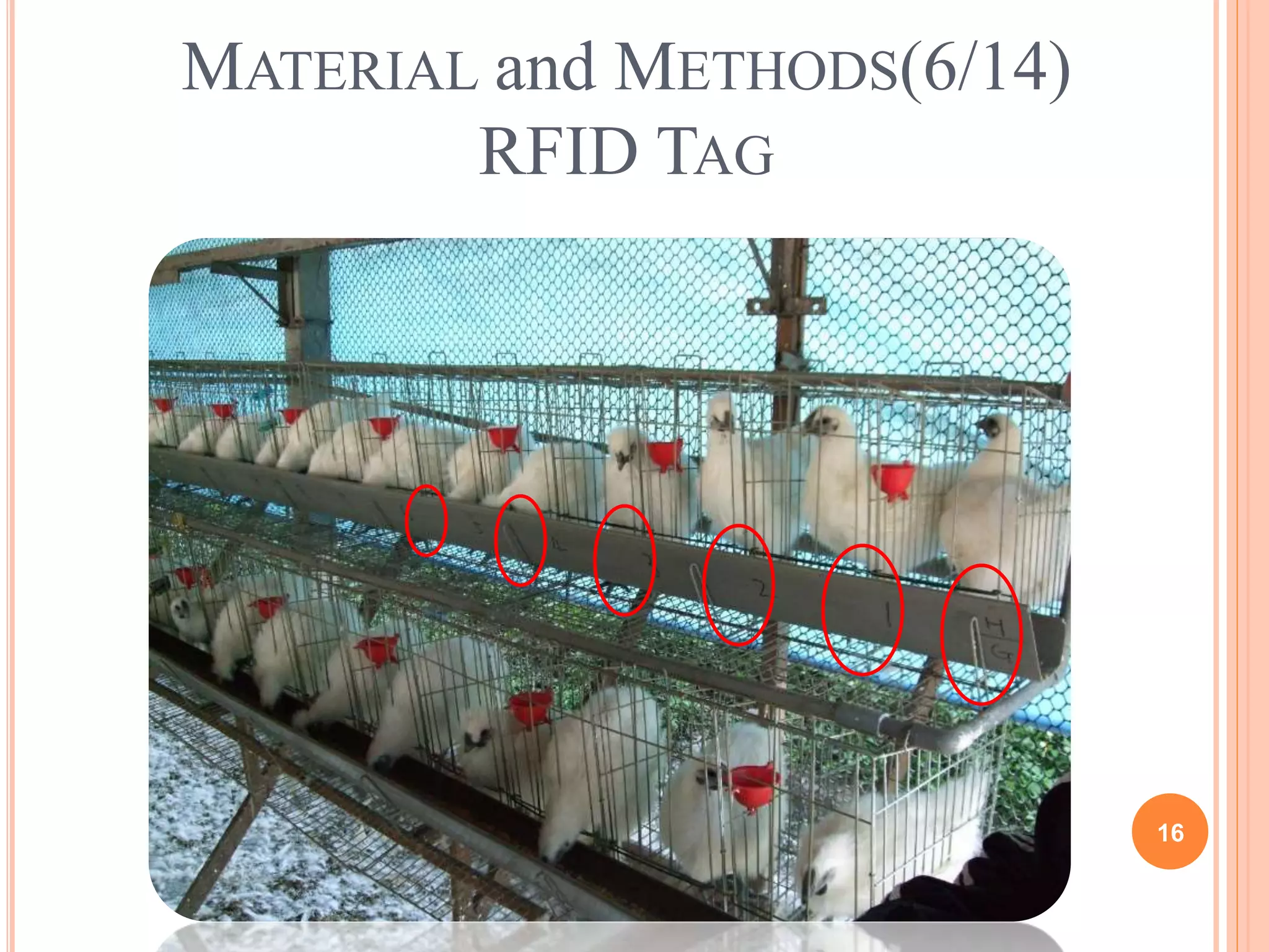Embedded system with rfid application on chicken lineage | PPT