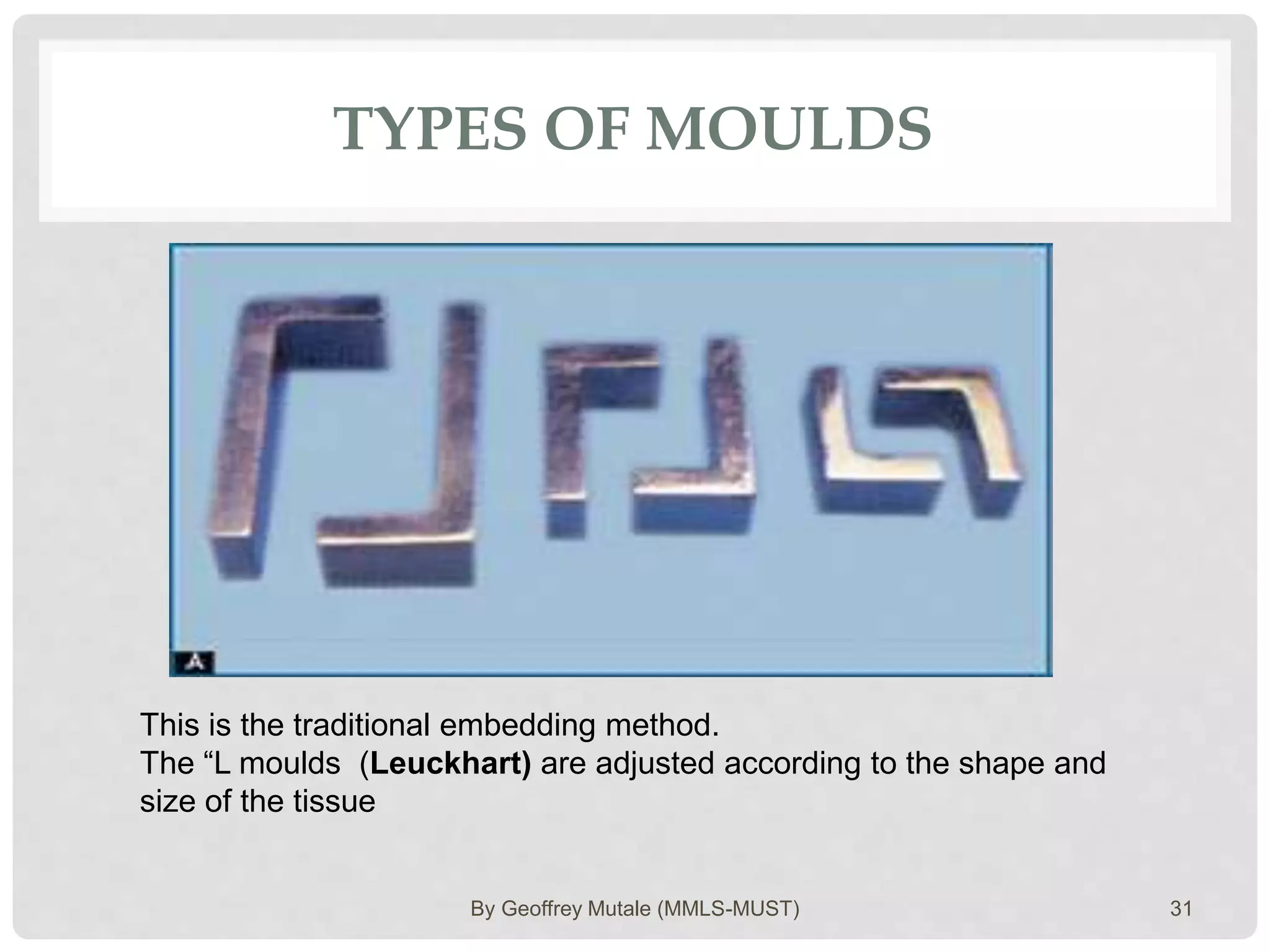 Embedding processes-pptx | PPTX
