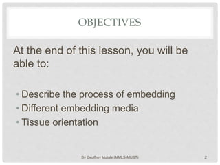 Embedding processes-pptx | PPTX