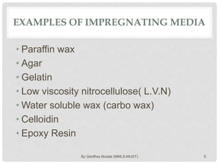 Embedding processes-pptx | PPTX