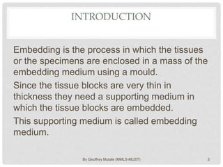 Embedding processes-pptx | PPT