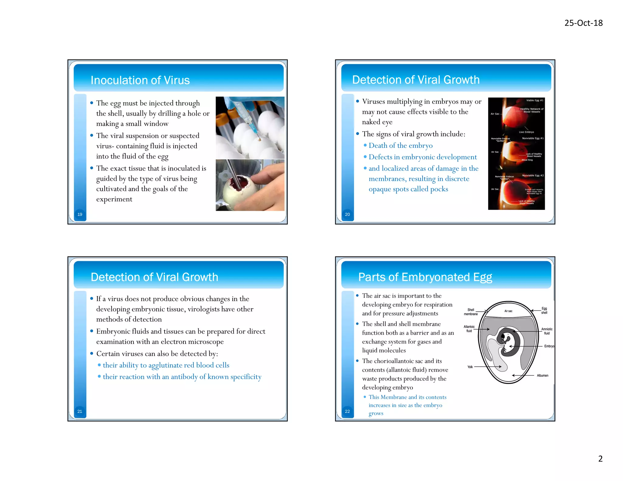 Emb egg inoculation.pdf