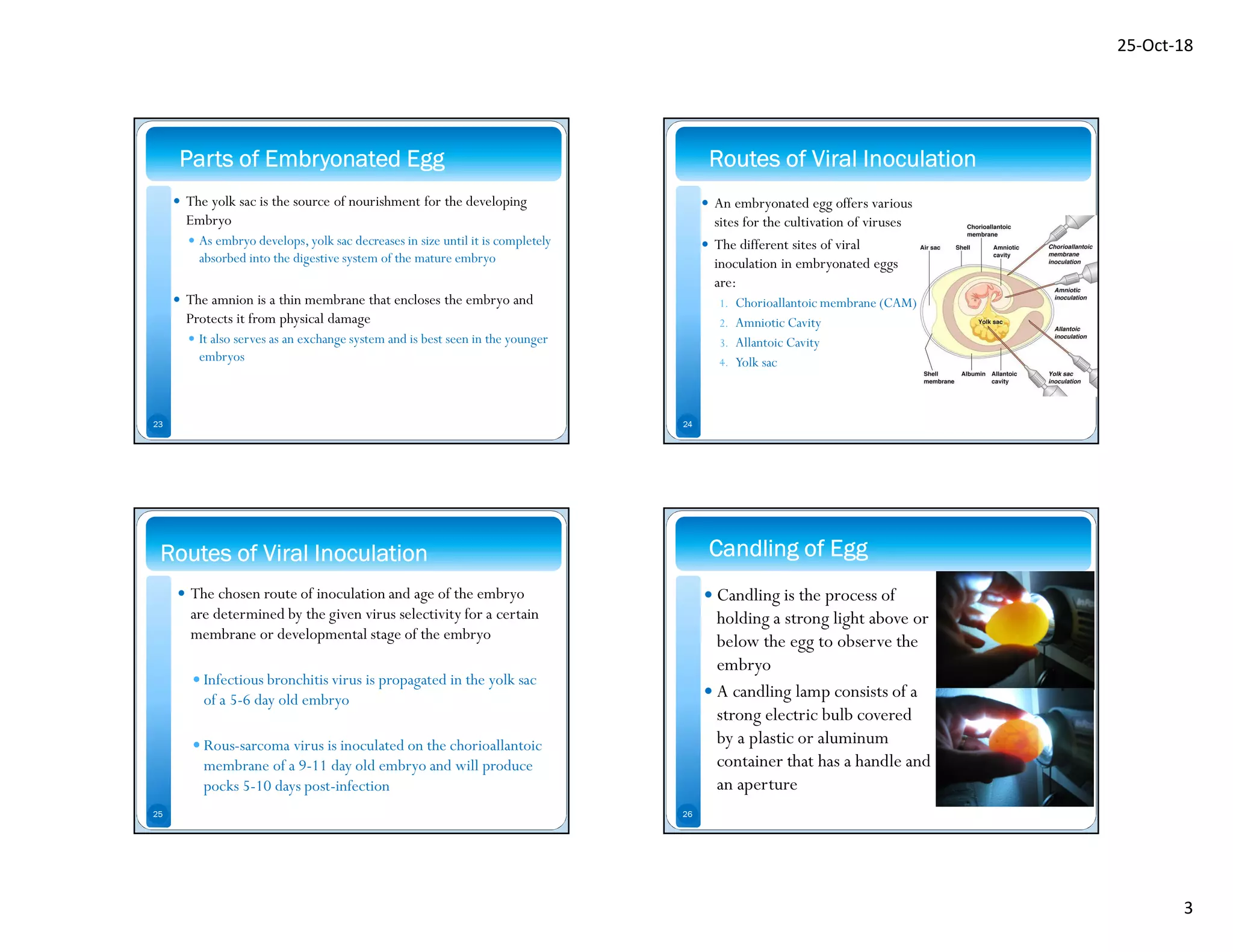 Emb egg inoculation.pdf