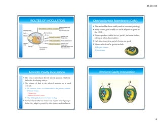 Emb egg inoculation.pdf