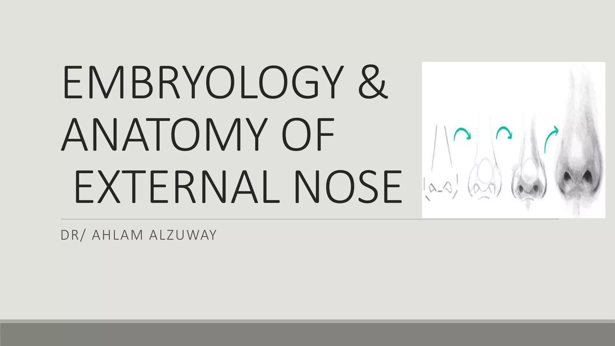 EMBERYOLOGY AND ANATOMY OF EXTERNAL NOSE.pptx