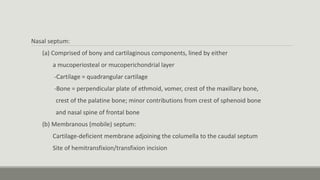 EMBERYOLOGY AND ANATOMY OF EXTERNAL NOSE.pptx