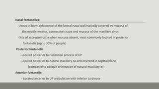 EMBERYOLOGY AND ANATOMY OF EXTERNAL NOSE.pptx