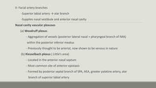 EMBERYOLOGY AND ANATOMY OF EXTERNAL NOSE.pptx