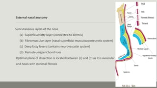 EMBERYOLOGY AND ANATOMY OF EXTERNAL NOSE.pptx