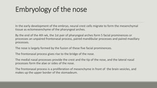 EMBERYOLOGY AND ANATOMY OF EXTERNAL NOSE.pptx