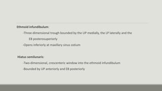 EMBERYOLOGY AND ANATOMY OF EXTERNAL NOSE.pptx