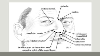 EMBERYOLOGY AND ANATOMY OF EXTERNAL NOSE.pptx
