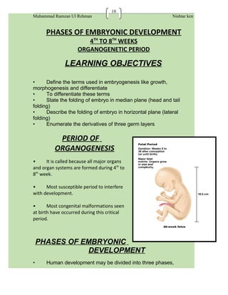 Emberyonic period KLM | DOC