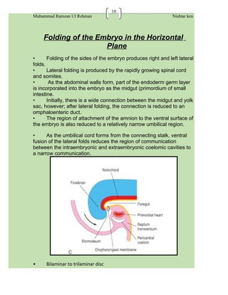 Emberyonic period KLM | DOC