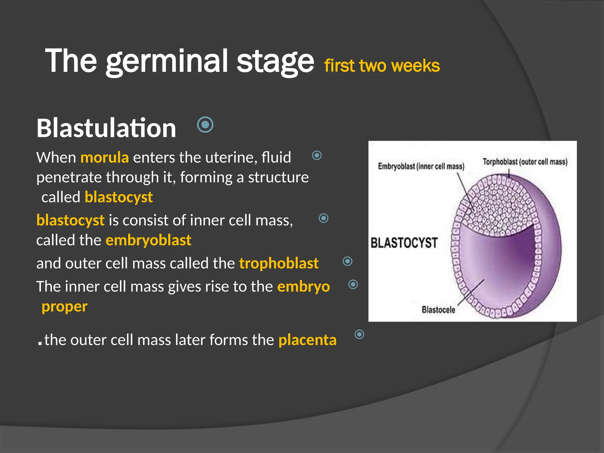 embryology introduction oral histology lap | PPTX