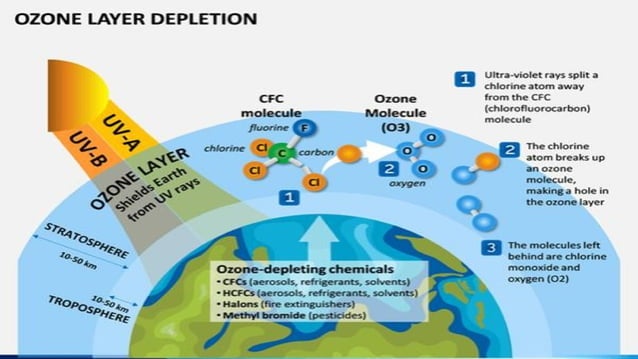 Global warming and Ozone layer depletion, Environmental microbiology | PPT