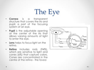 Eye Movement based Human Computer Interaction Technique | PPTX