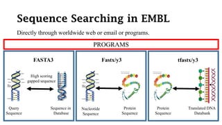 EMBL- European Molecular Biology Laboratory | PDF