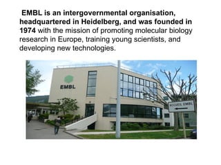 EMBL (Part 2).pptx............... ...... | PPTX