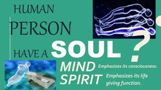 SHS Philosophy WHAT IS A HUMAN PERSON "Embodied spirit and etc. | PPTX
