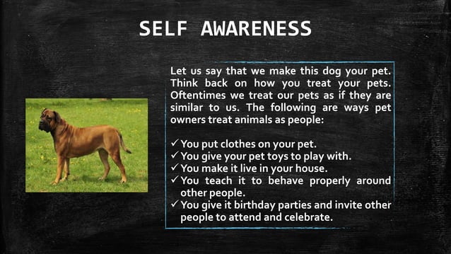 embodied spirit.pptx