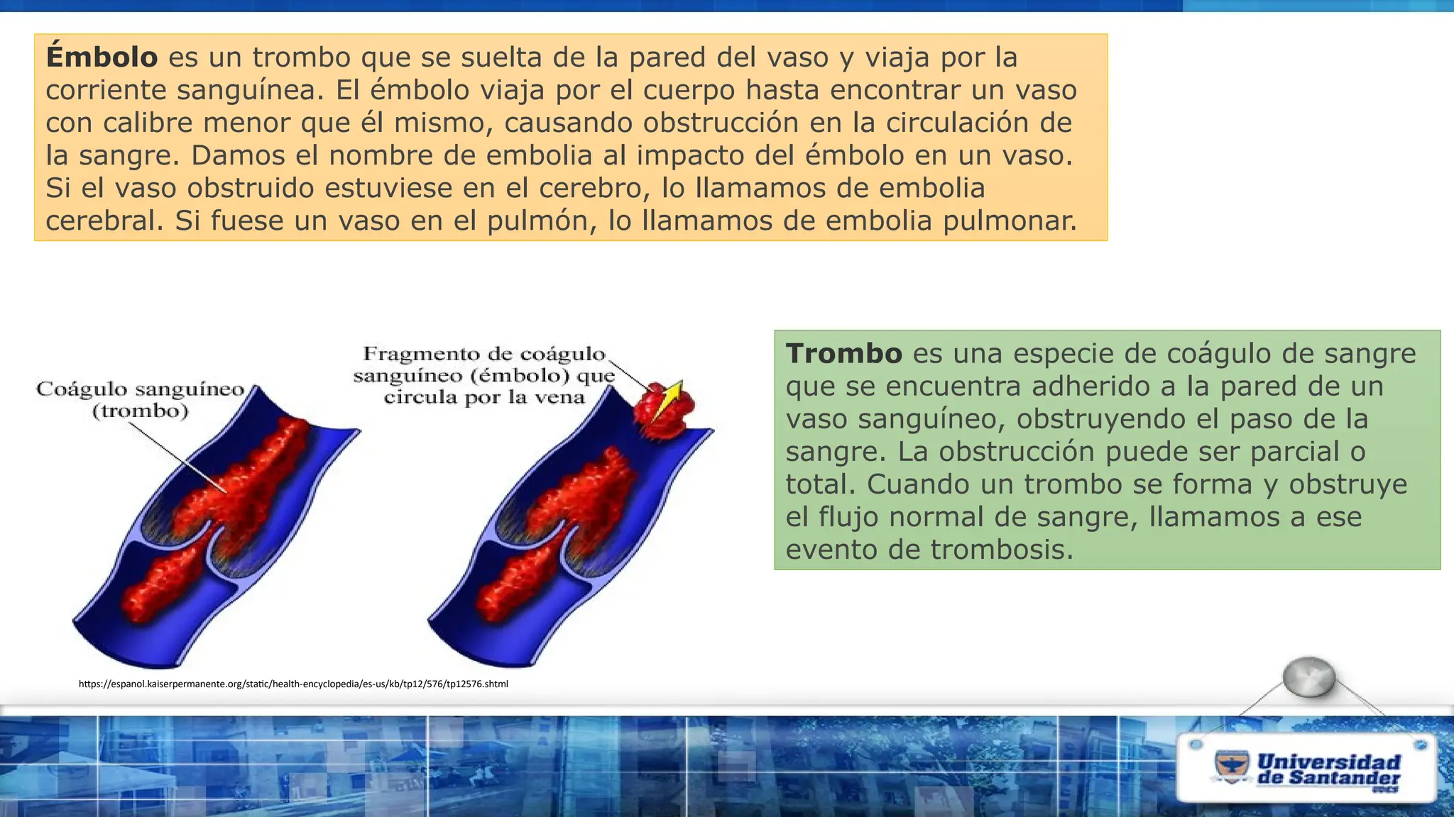 enfermemedad de EMBOLIA PULMONAR vias respiratorias | PDF