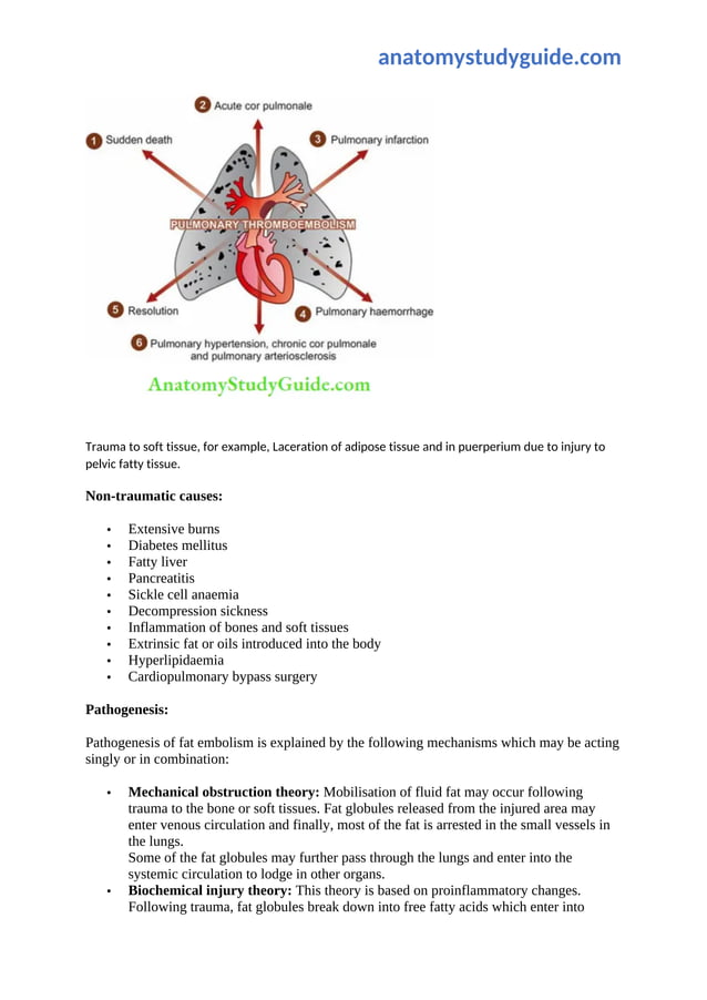 Embolism - Causes, Symptoms, Treatment, Diagnosis | PDF