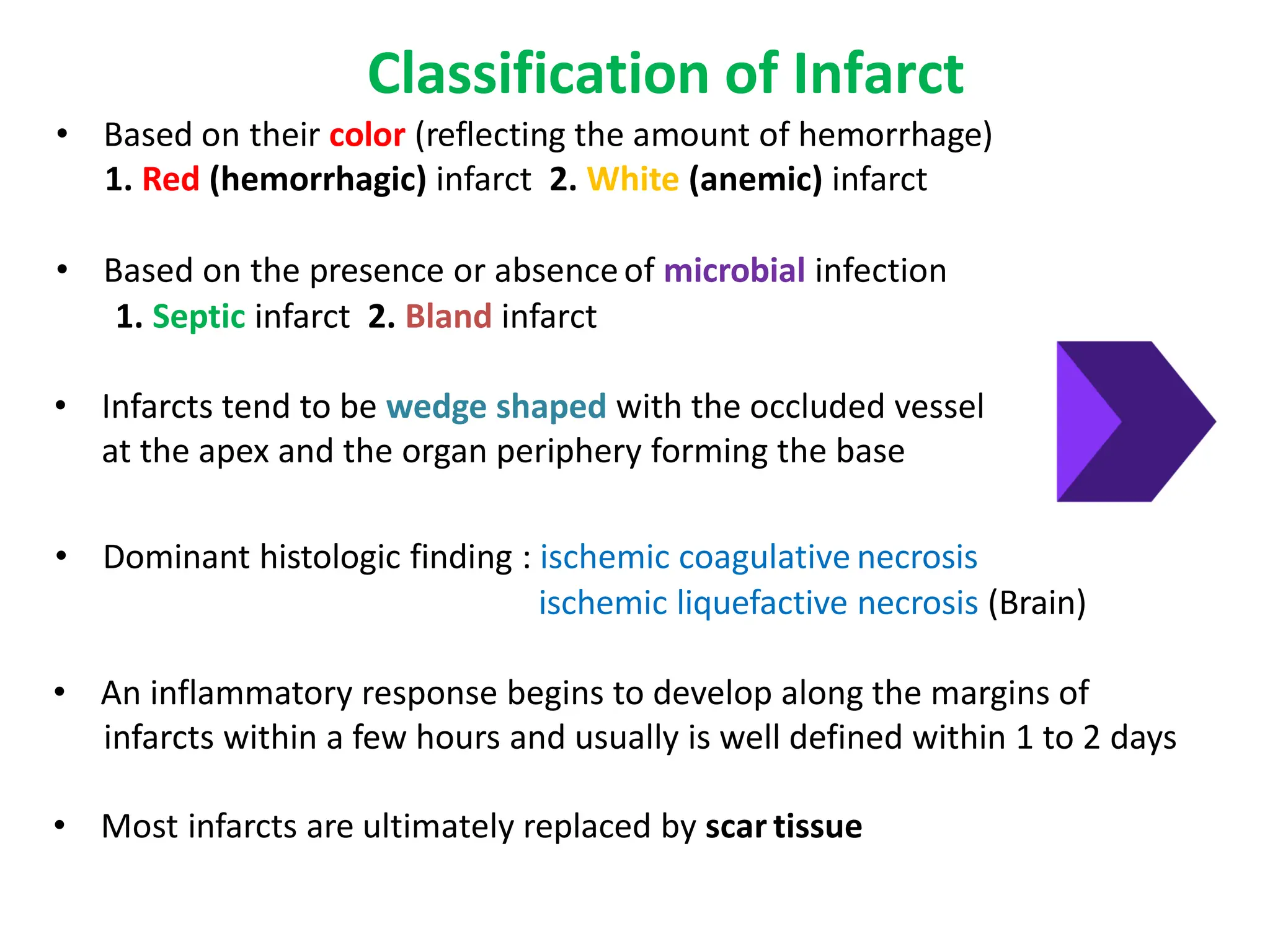 Embolism & Infarction.pdf