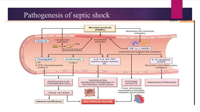 Embolism, Infarction and Shock ppt-1 slides.pptx