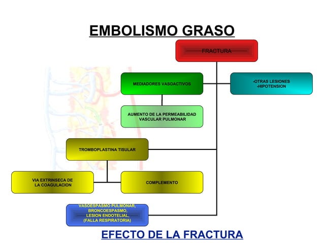 Embolismo Graso 3
