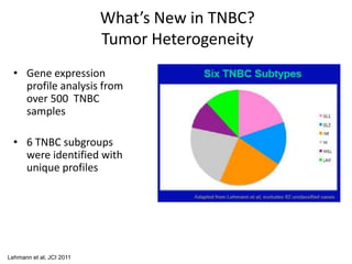 Targeting Advanced Triple-Negative Breast Cancer | PPTX