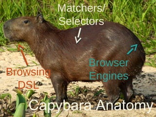 Embracing Capybara | PPT